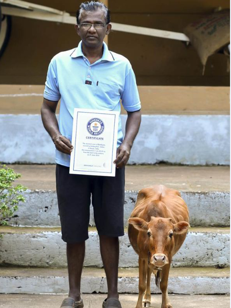 Top 10 Guinness World Records By Indians